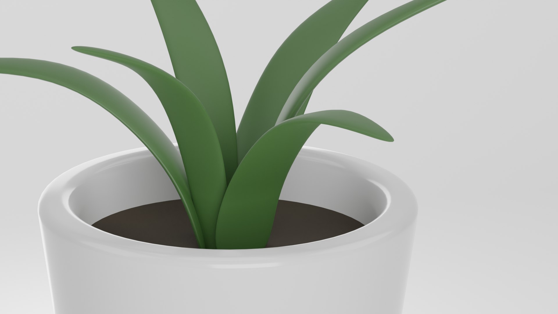 3D Potted Plant Model - TurboSquid 2082071