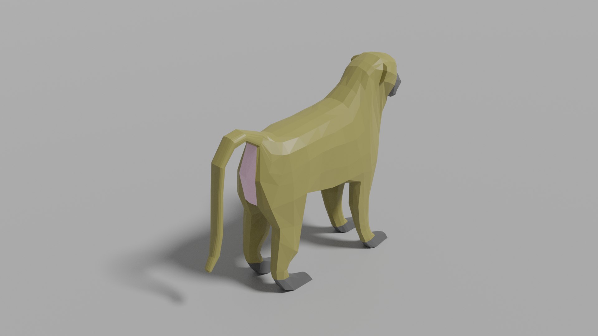 Animal Mammal Baboon 3D Model - TurboSquid 1647468