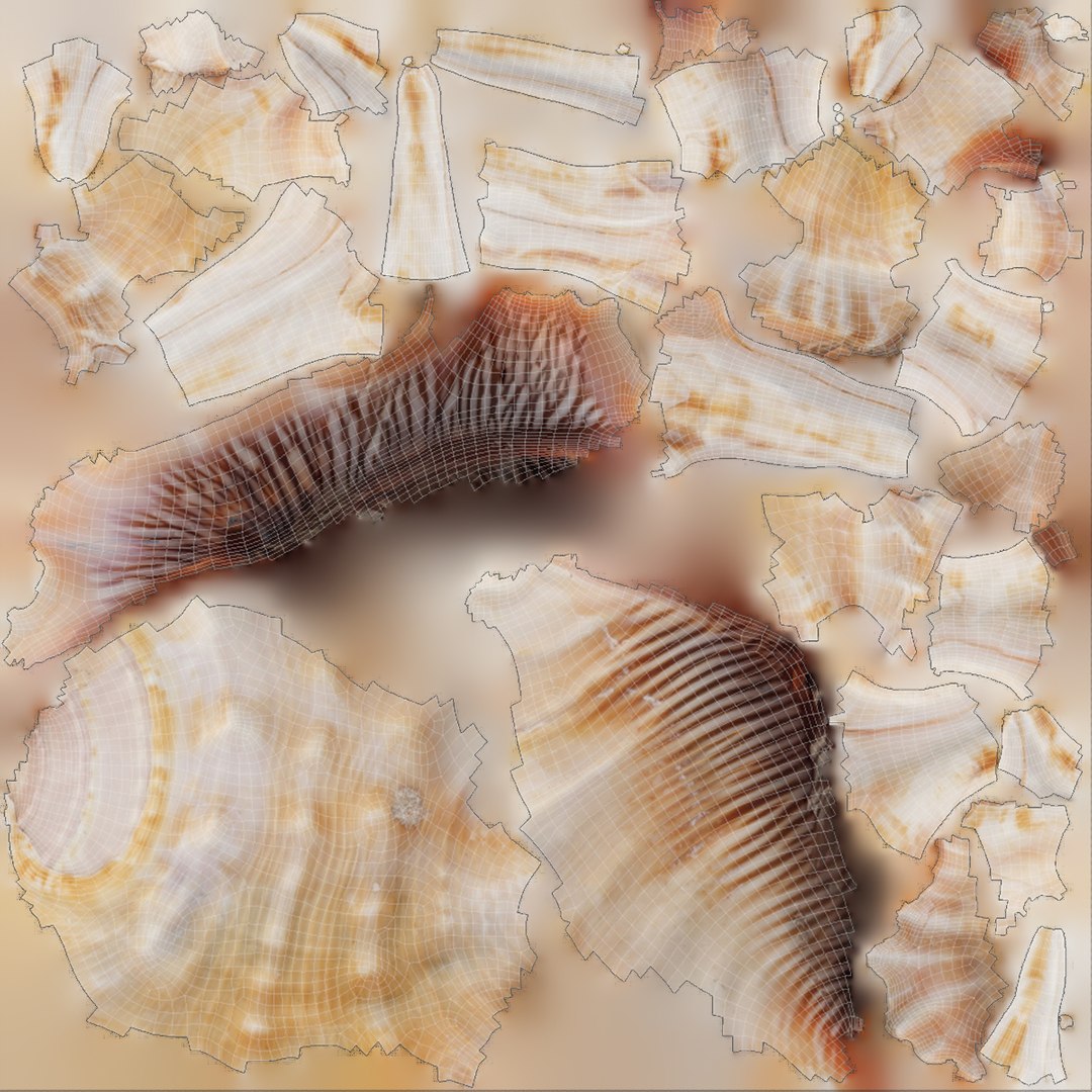 3D Sea Shell Lambis Truncata - TurboSquid 2212099