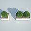 3d boxwoods model