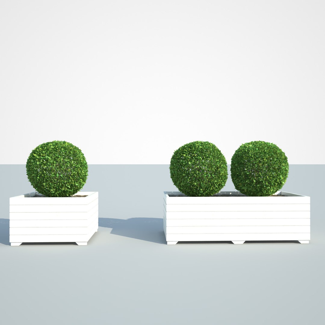 3d boxwoods model