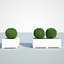 3d boxwoods model