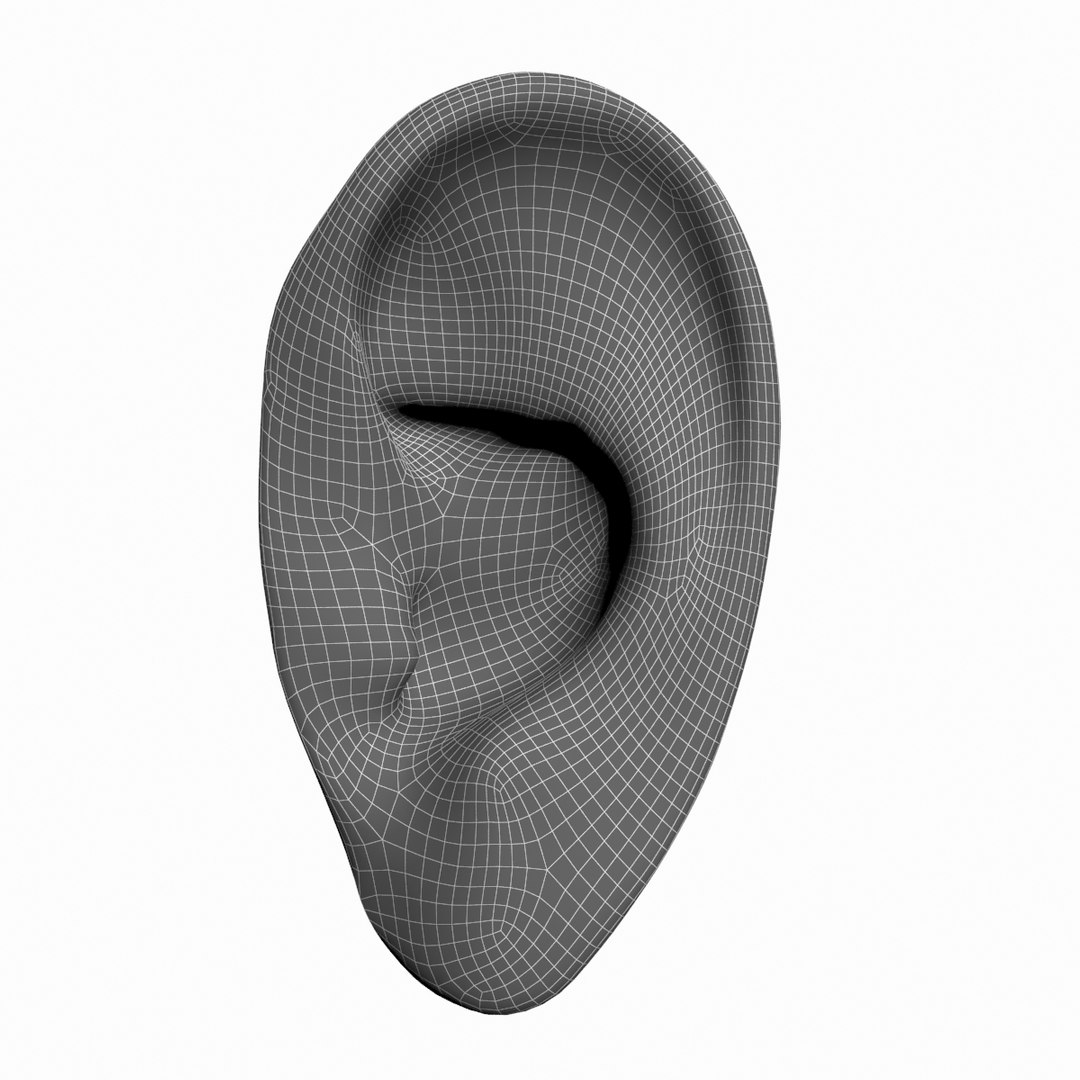 Human Ear 3D Model - TurboSquid 1203538
