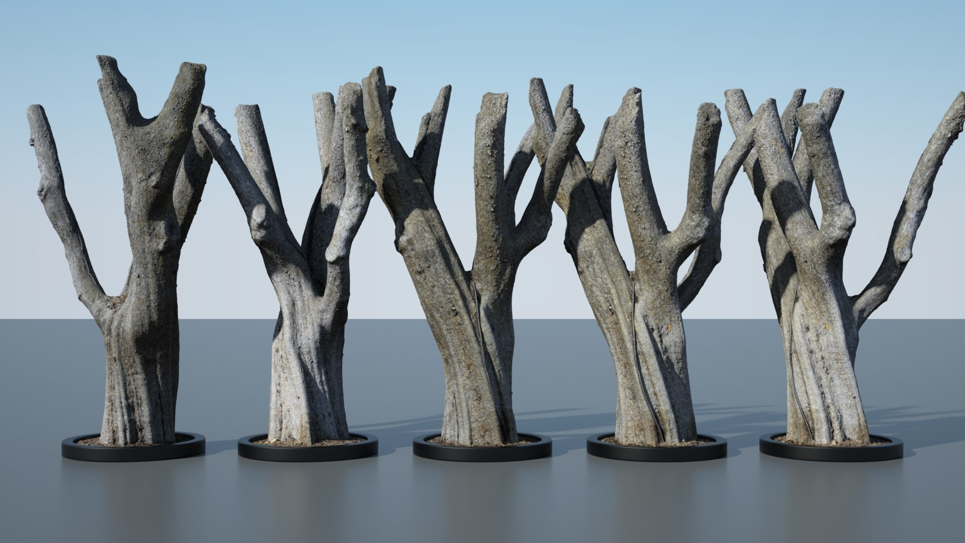 3D Tree Trunk - Model - TurboSquid 1527854