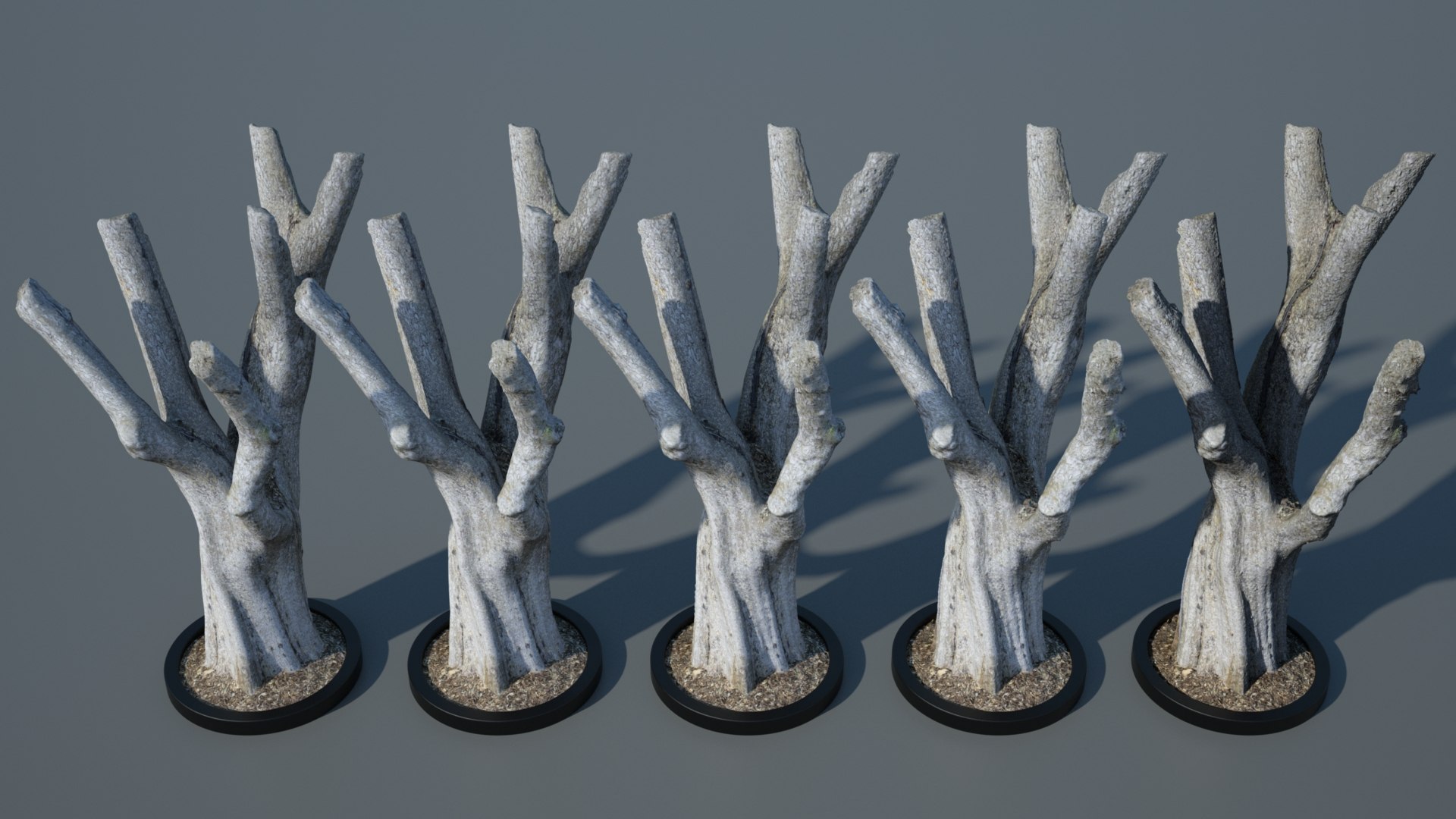 3D Tree Trunk - Model - TurboSquid 1527854