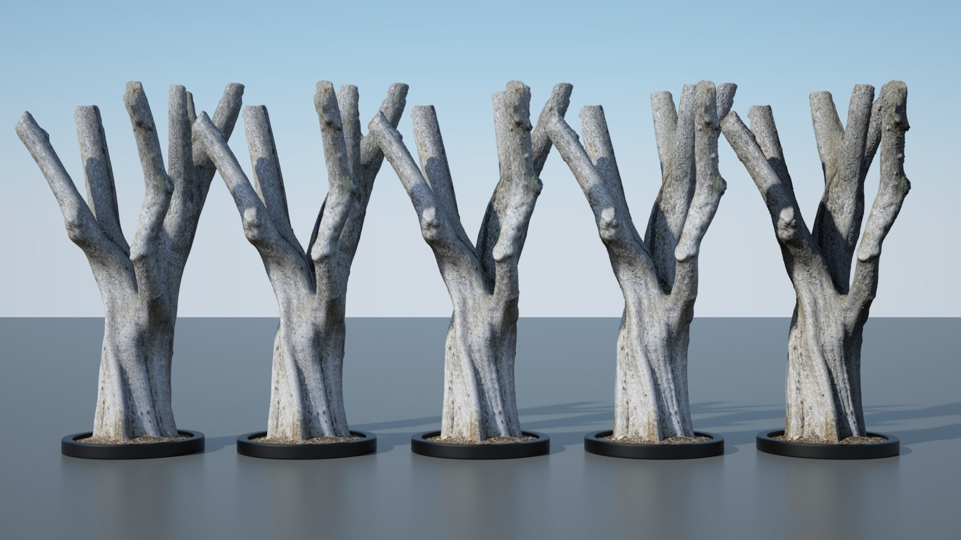3D Tree Trunk - Model - TurboSquid 1527854