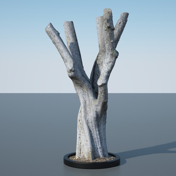 Tree Trunk STL Models for Download | TurboSquid