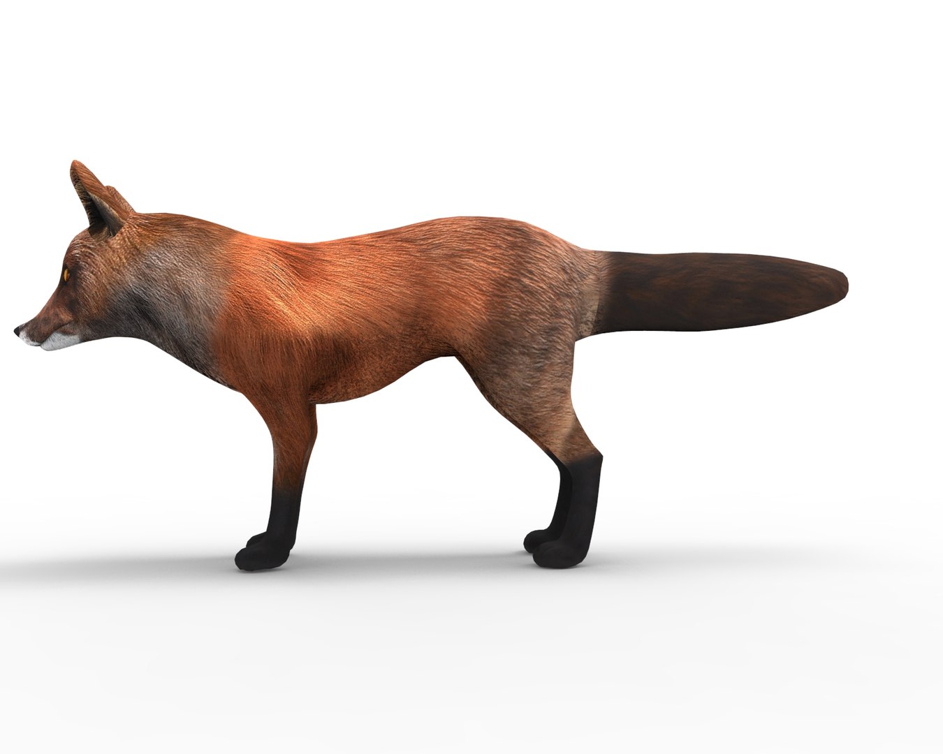 Fox Ready Model - TurboSquid 1206358