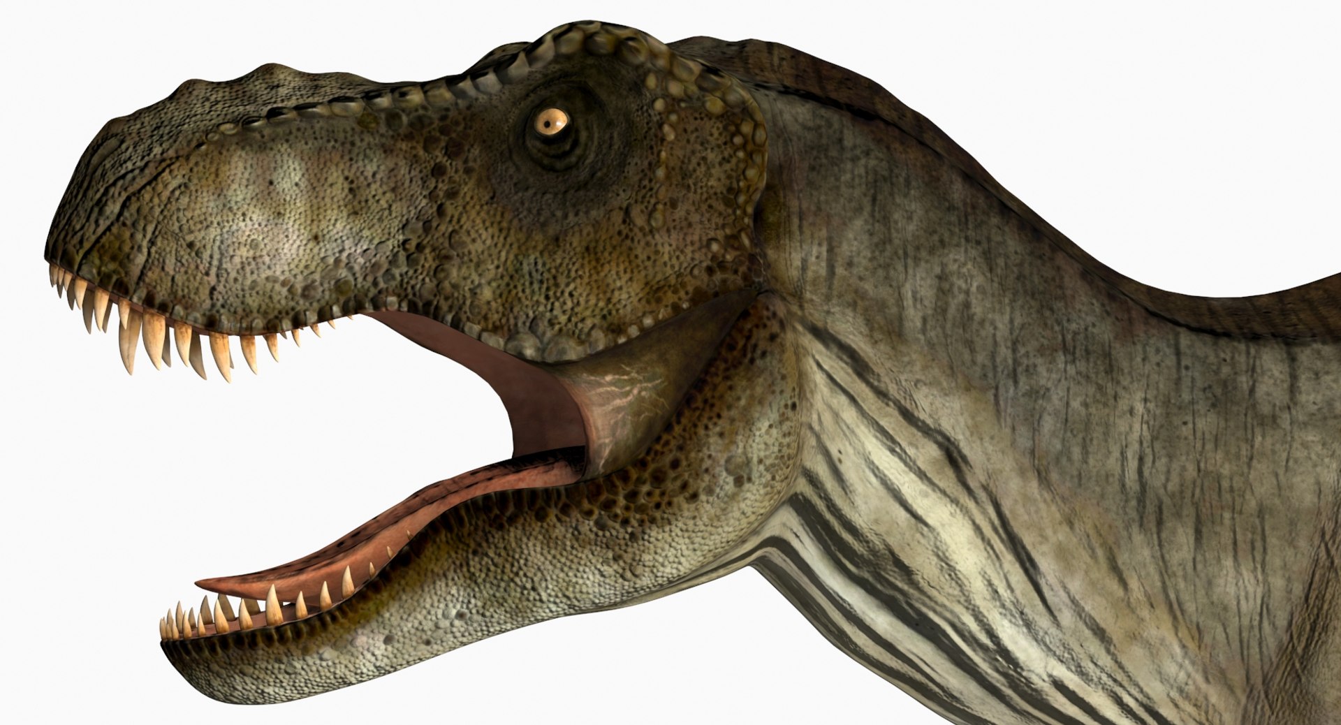 3D Tyrannosaurus Rex - TurboSquid 1304868