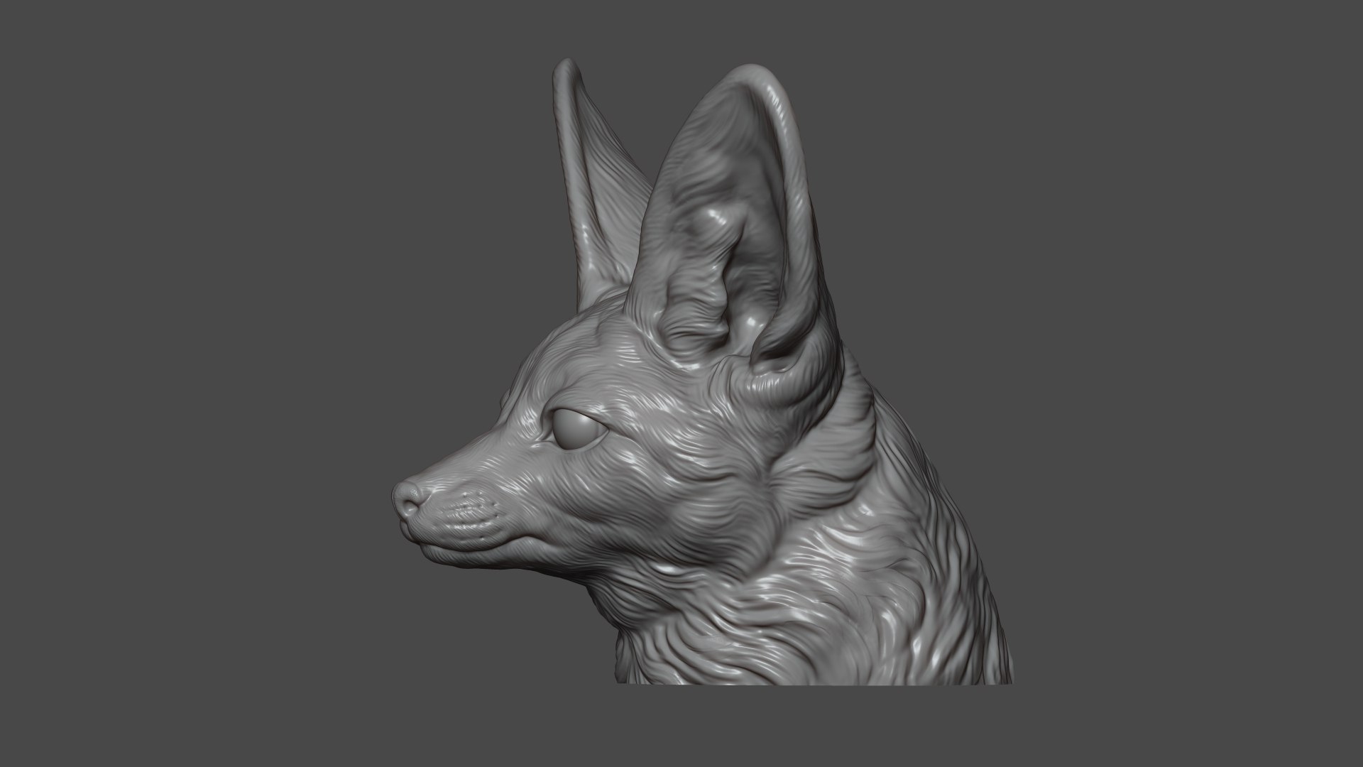 3D Fennec Fox Head Model - TurboSquid 2259004