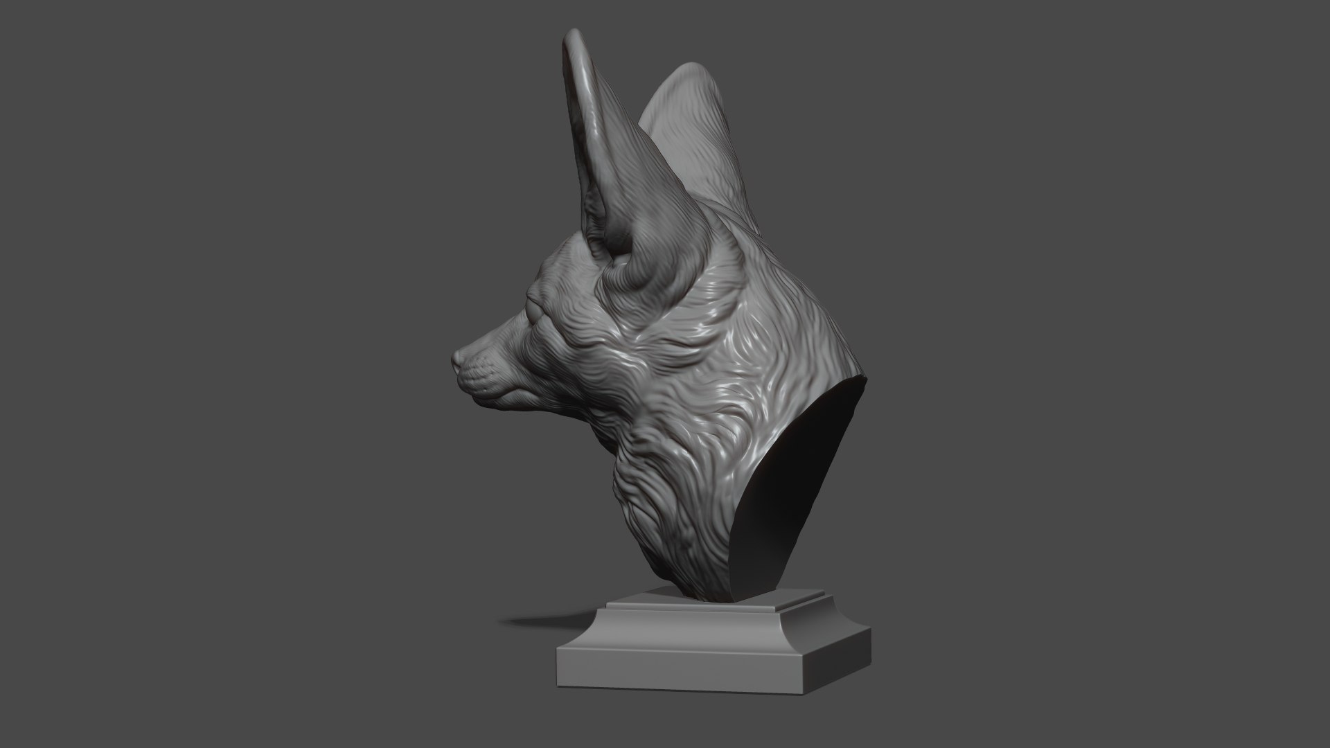3D Fennec Fox Head Model - TurboSquid 2259004