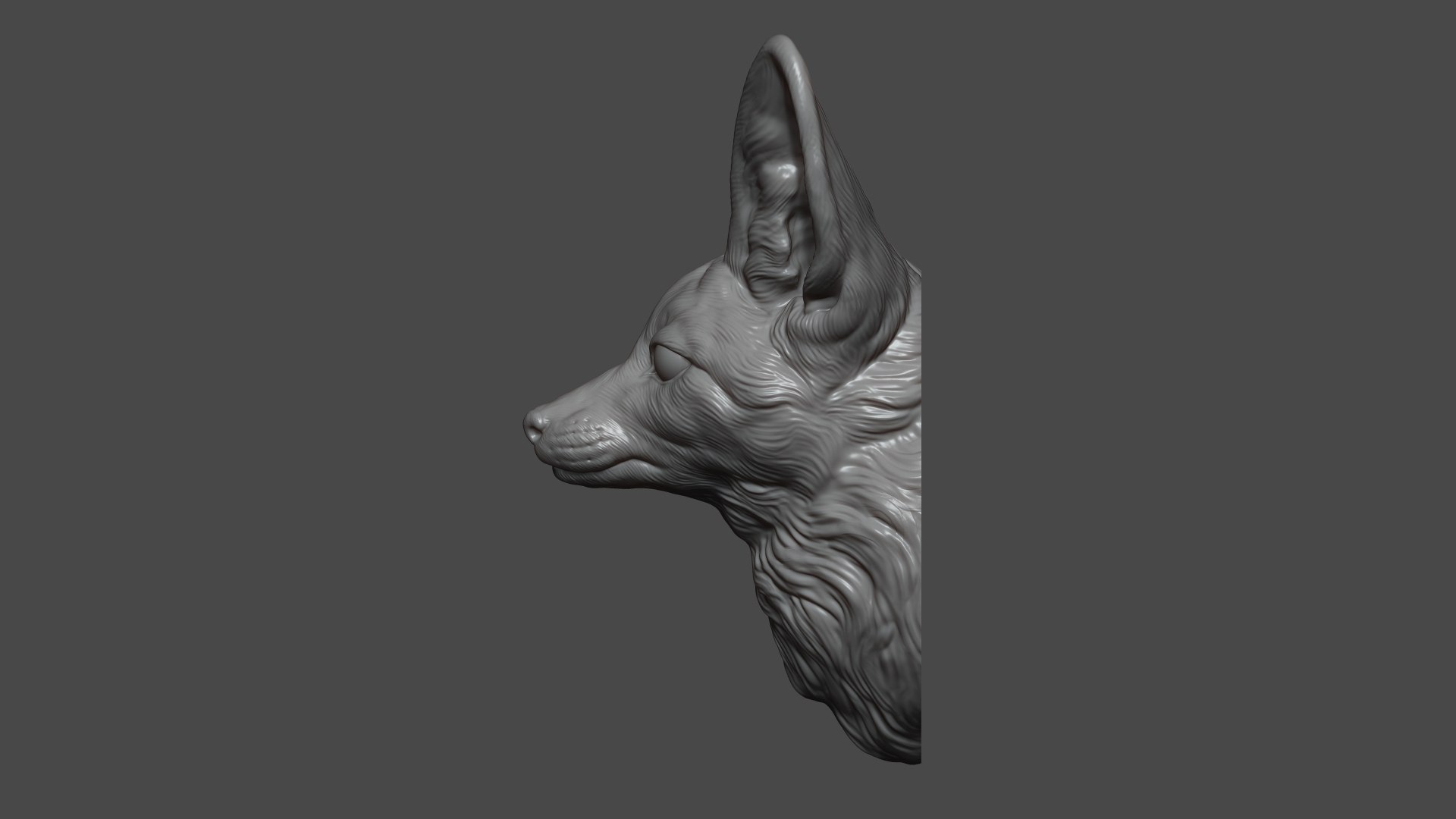 3D Fennec Fox Head Model - TurboSquid 2259004