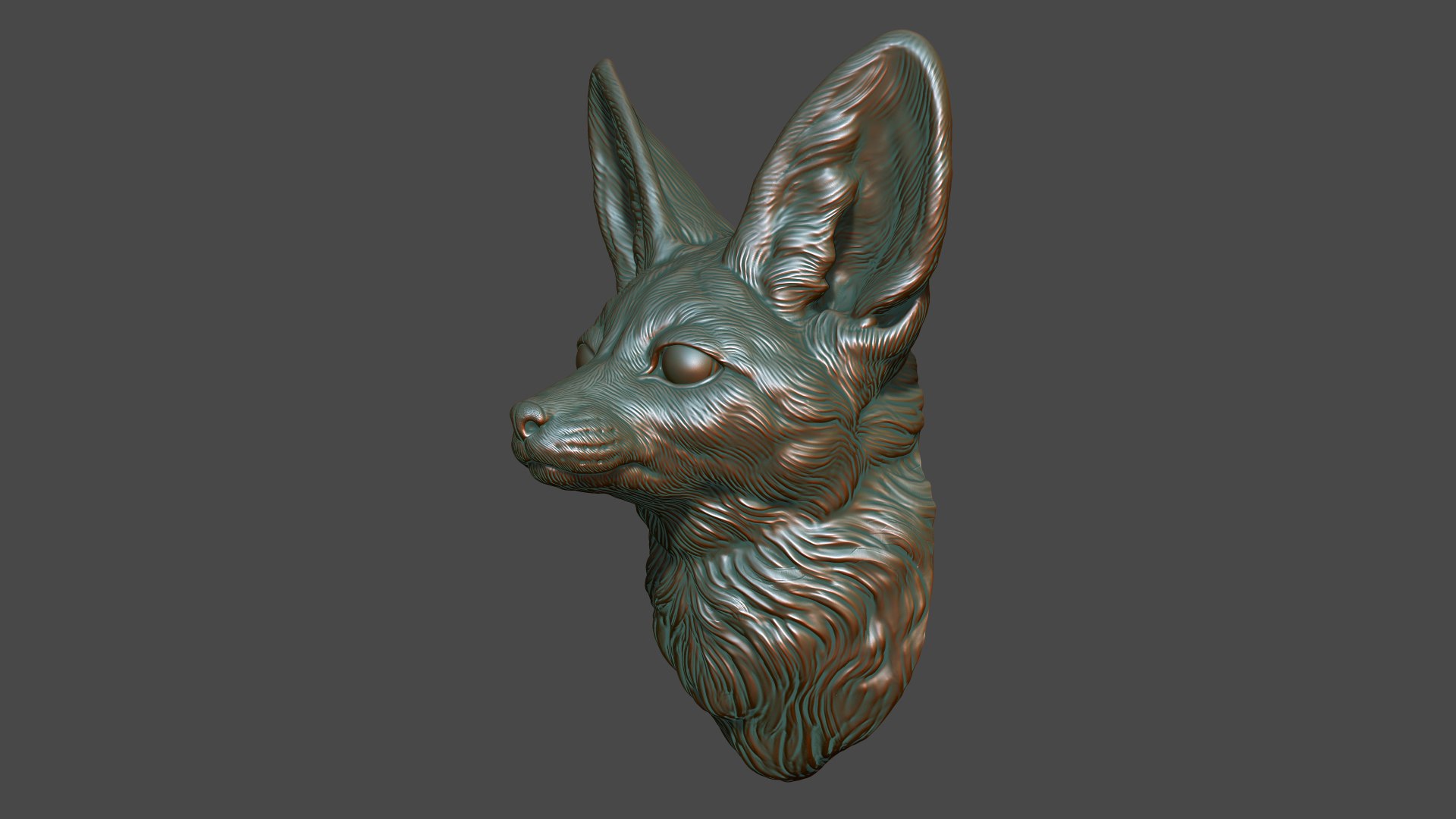 3D Fennec Fox Head Model - TurboSquid 2259004