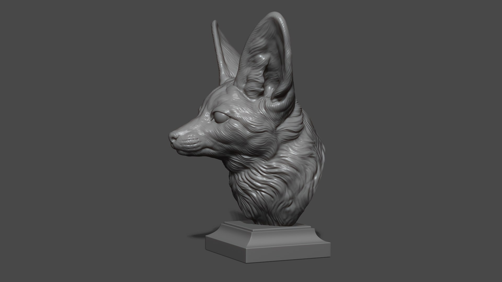 3D Fennec Fox Head Model - TurboSquid 2259004