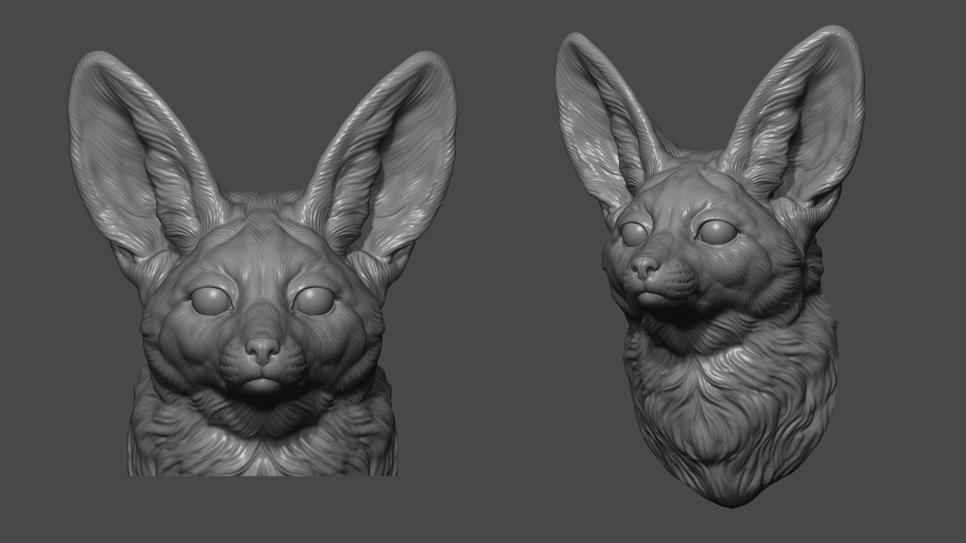 3D Fennec Fox Head Model - TurboSquid 2259004