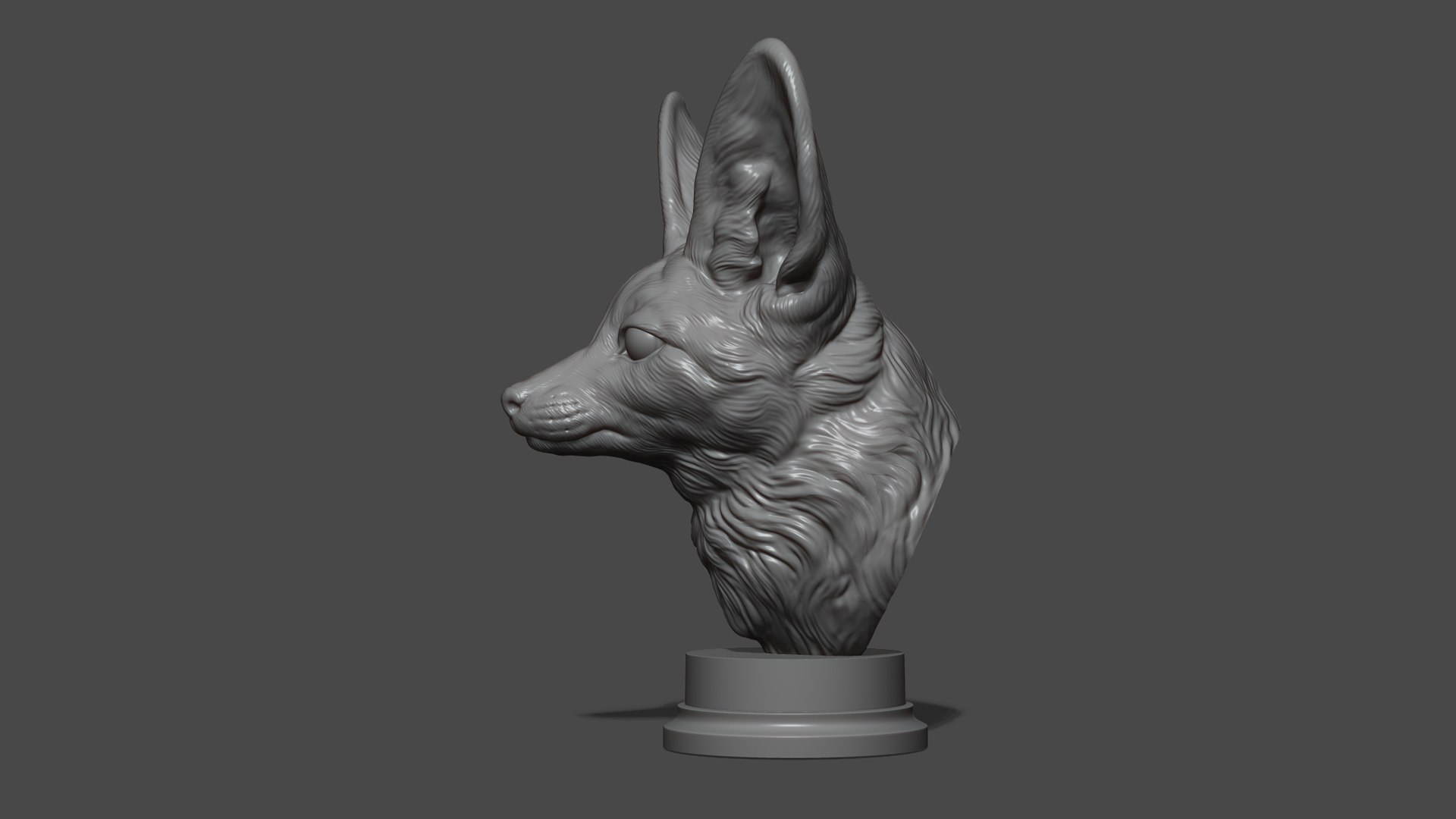3D Fennec Fox Head Model - TurboSquid 2259004