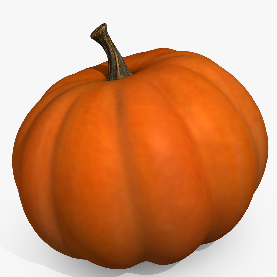 3d halloween jack o model