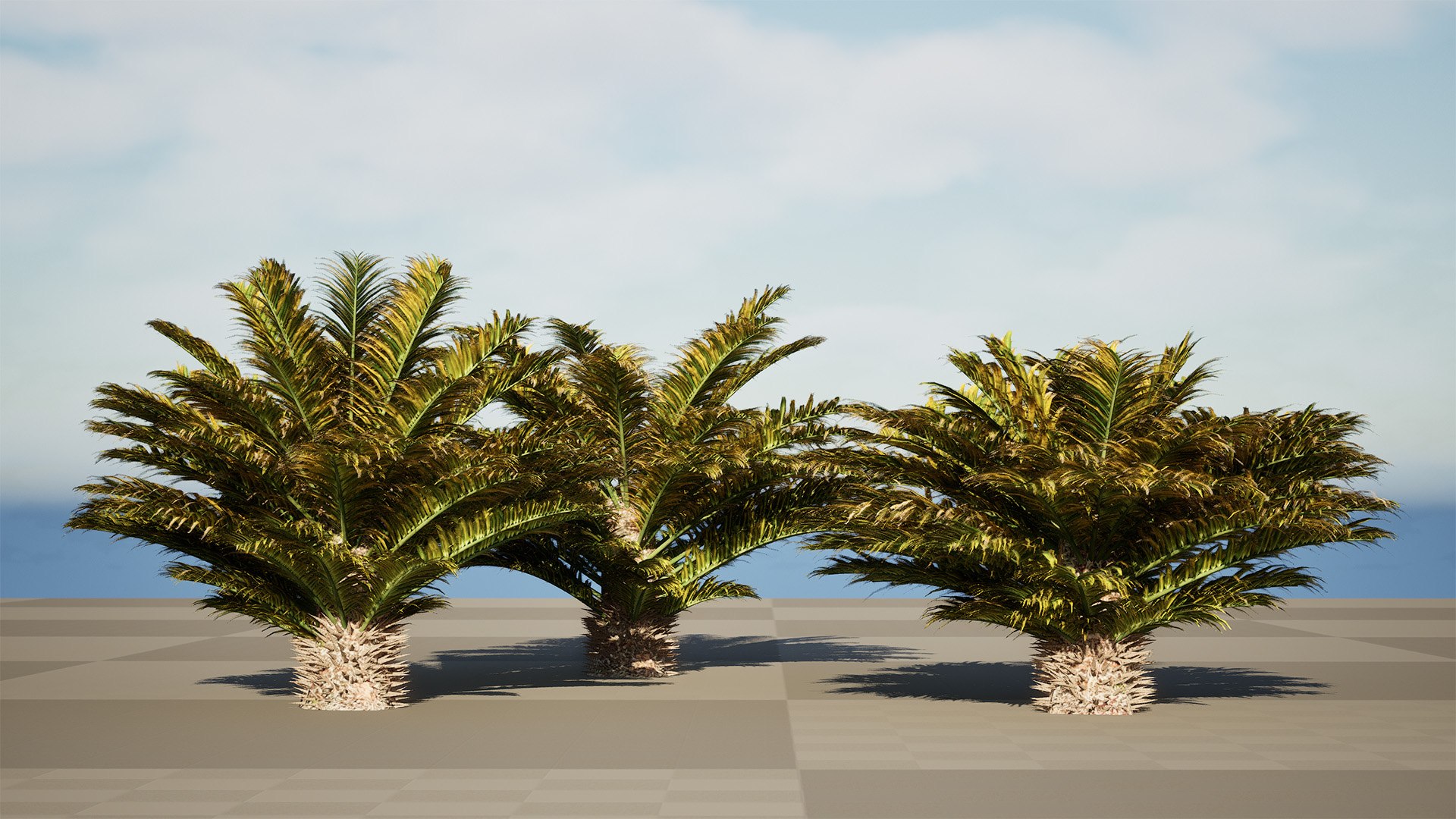 Highly Detailed Cycas Revoluta 3D Model 3D Model - TurboSquid 2248189