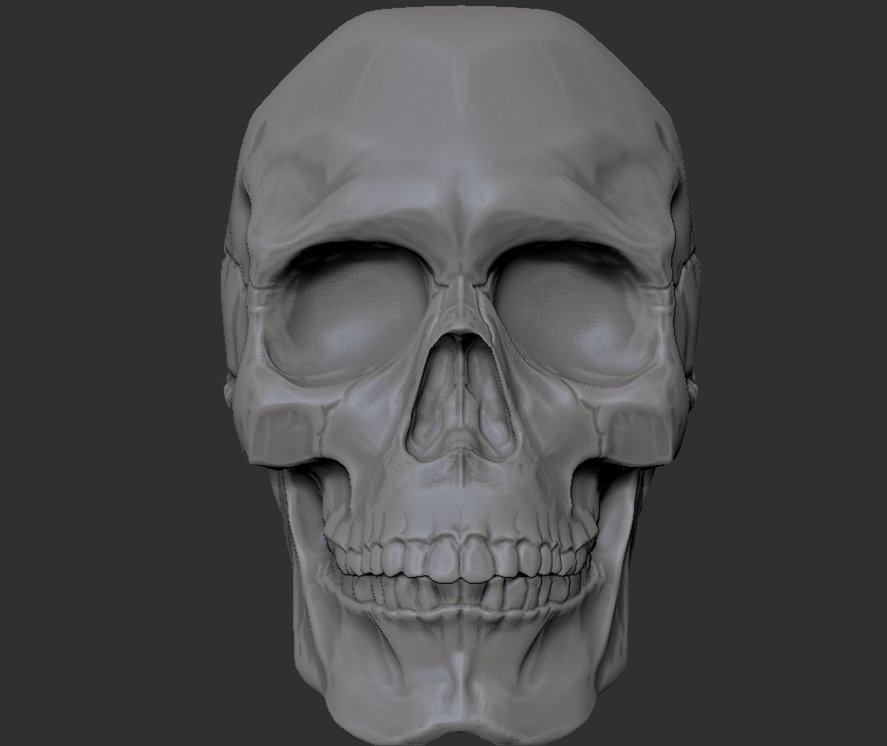 Base Anatomy Skull 3D Model - TurboSquid 1421941