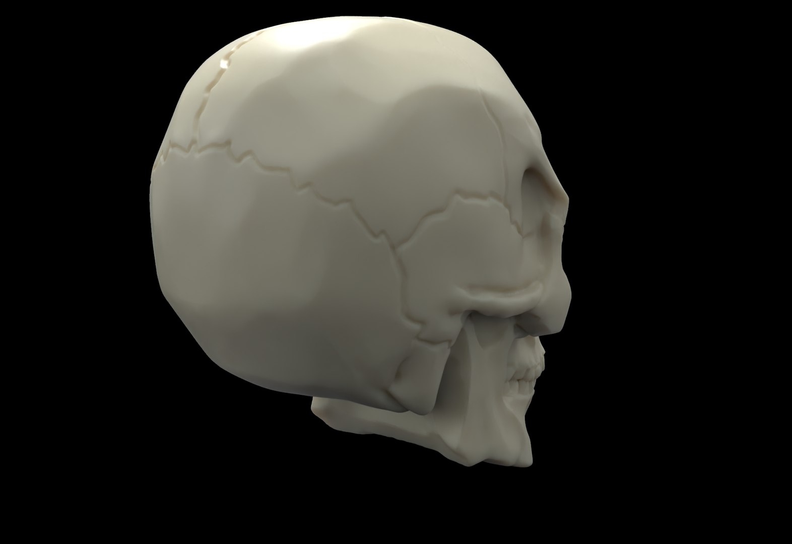 Base Anatomy Skull 3D Model - TurboSquid 1421941