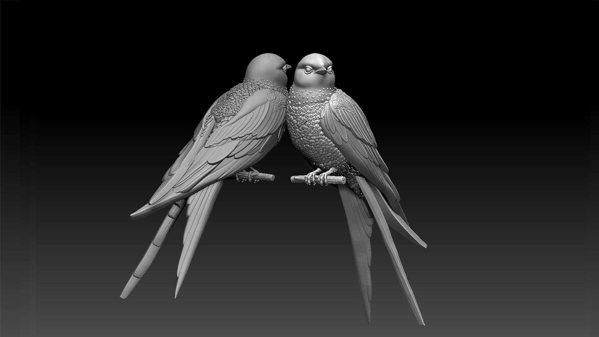 3D Swallow Model - TurboSquid 1957579