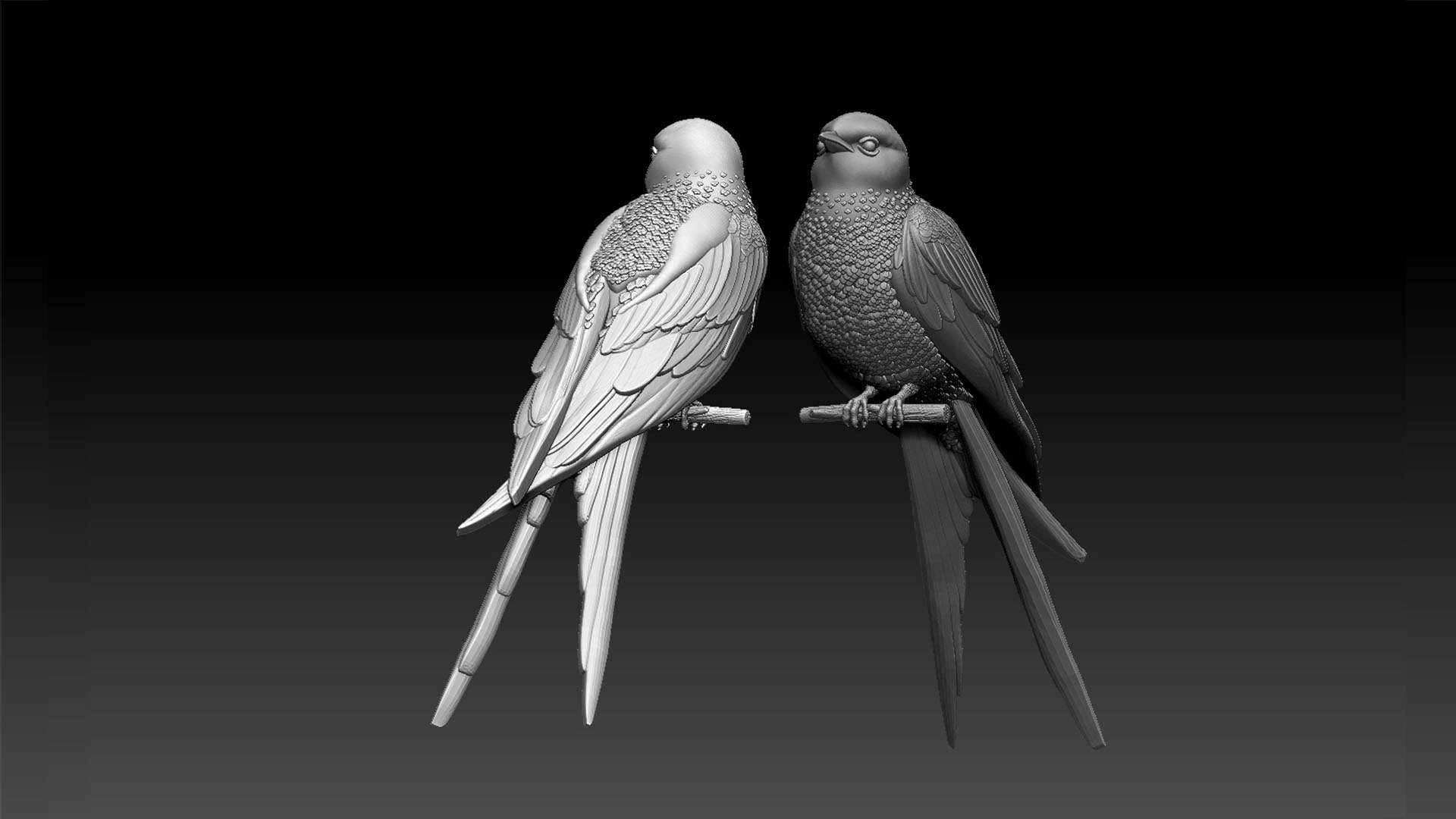 3D Swallow Model - TurboSquid 1957579