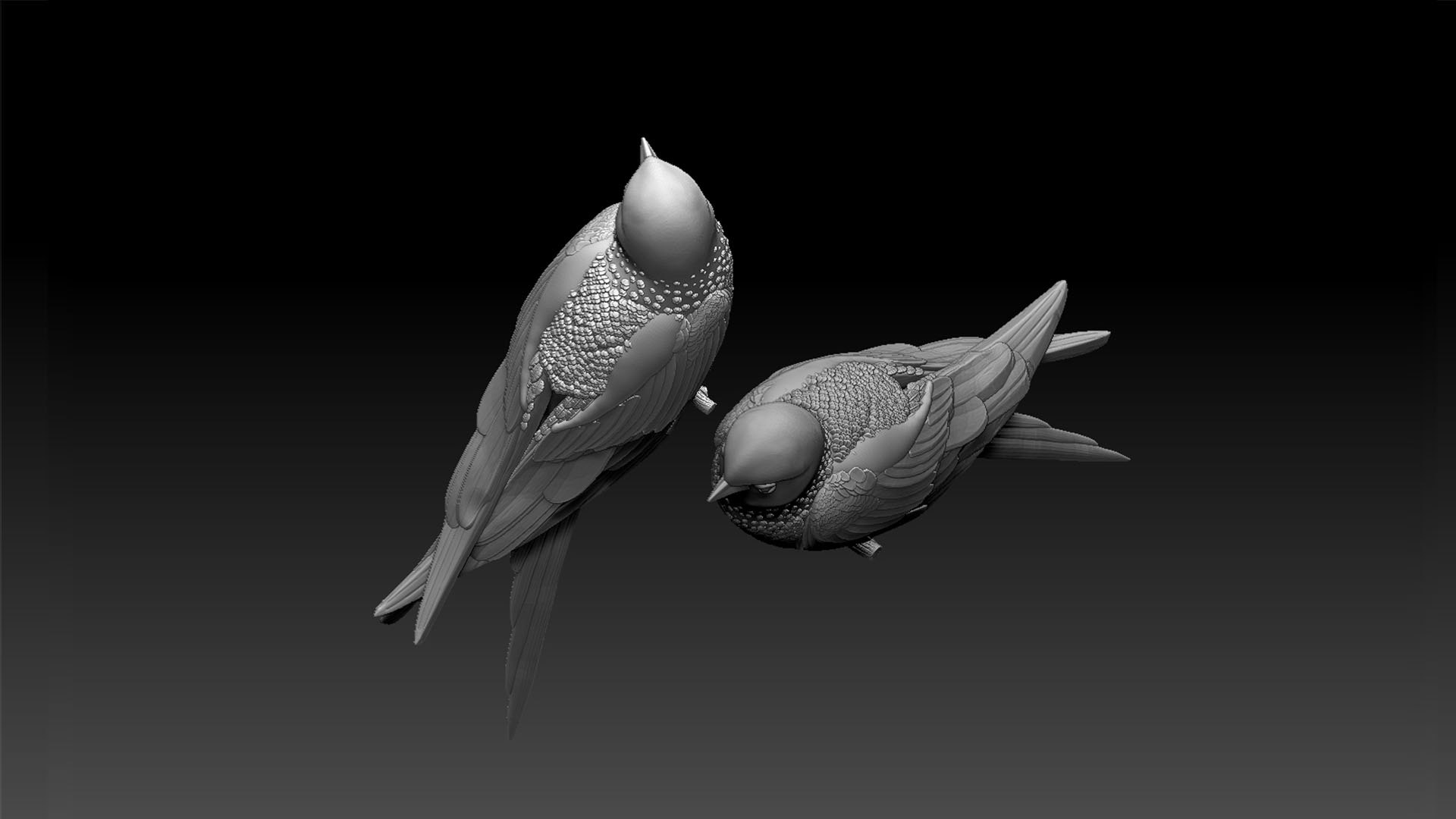 3D Swallow Model - TurboSquid 1957579