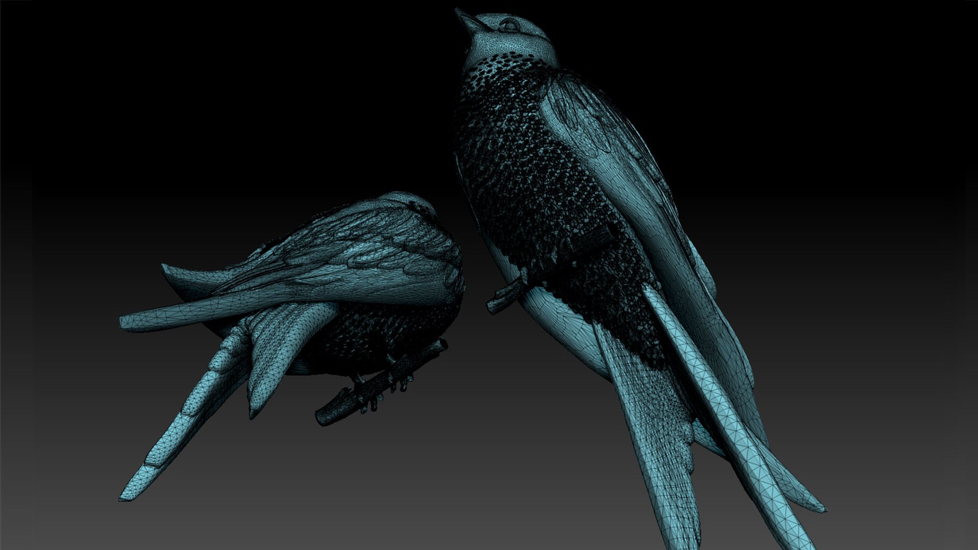 3D Swallow Model - TurboSquid 1957579