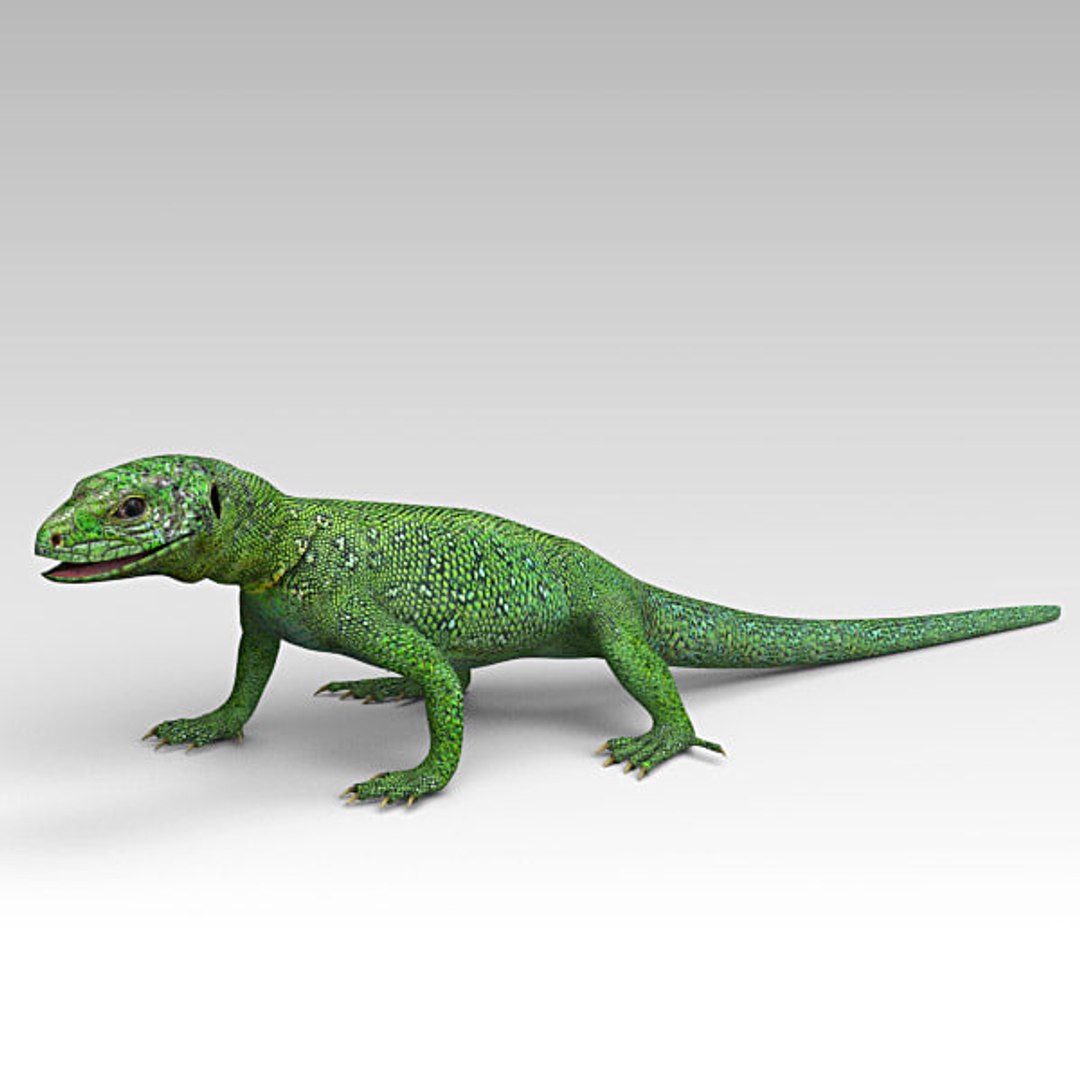 Green Lizard Bat 3D Model - TurboSquid 1337347