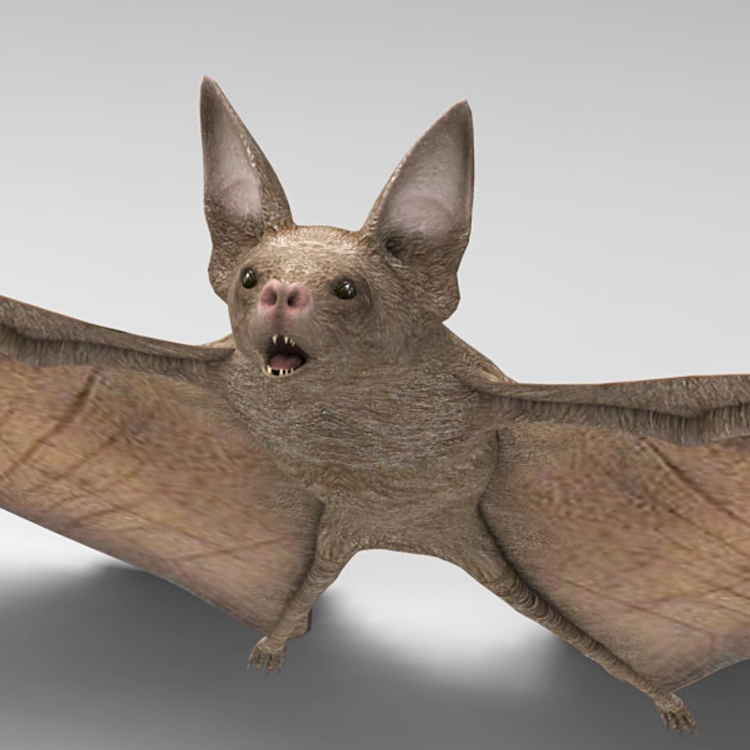 Green Lizard Bat 3D Model - TurboSquid 1337347