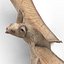 Green Lizard Bat 3D Model - TurboSquid 1337347