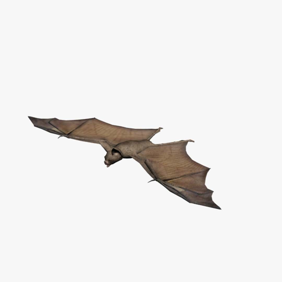 Green Lizard Bat 3D Model - TurboSquid 1337347
