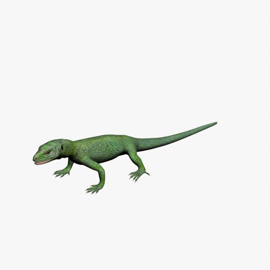 Green Lizard Bat 3D Model - TurboSquid 1337347