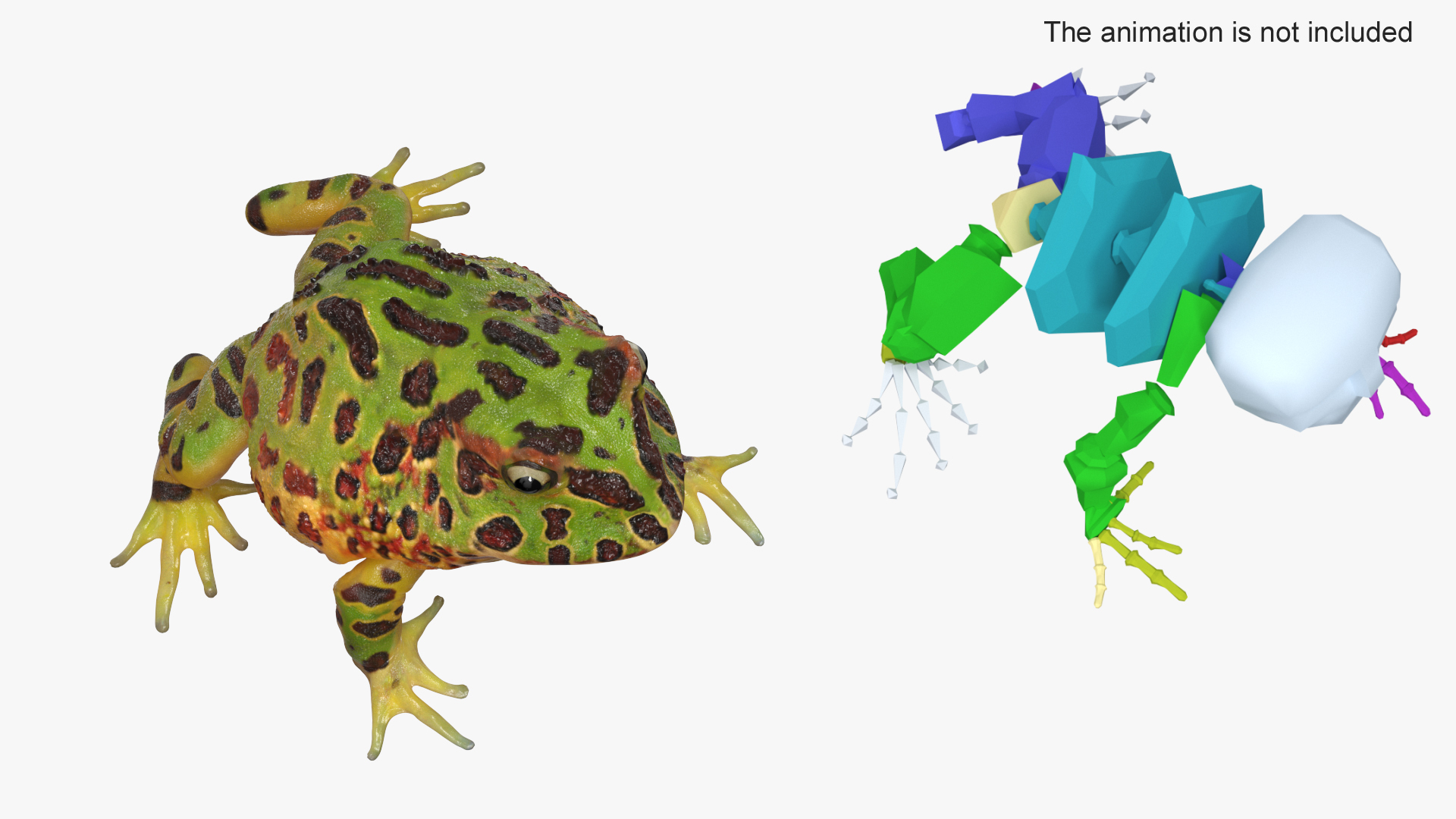 Realistic Horned Toad Rigged 3D Model - TurboSquid 2307872