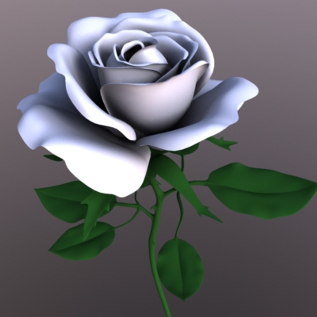 3d rose flower model