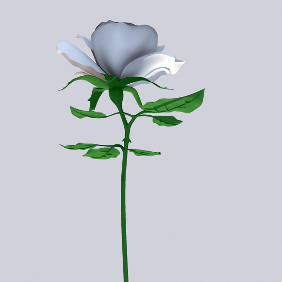 3d Rose Flower Model