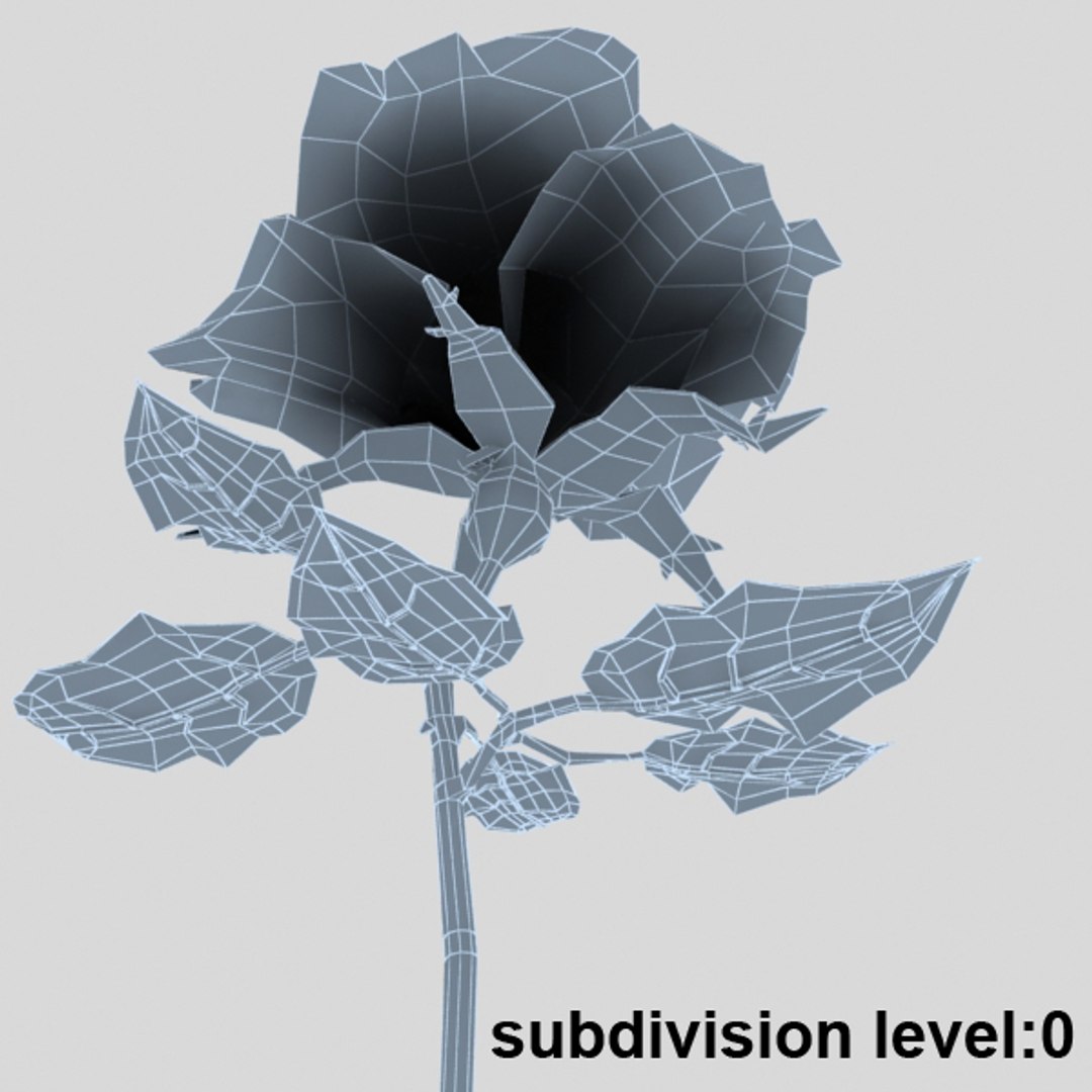 3d rose flower model