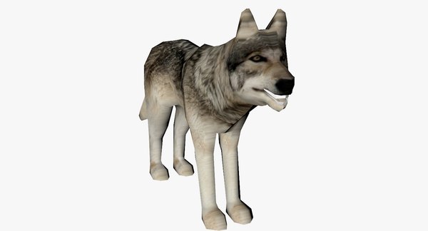 Wolf 3D Models for Download | TurboSquid
