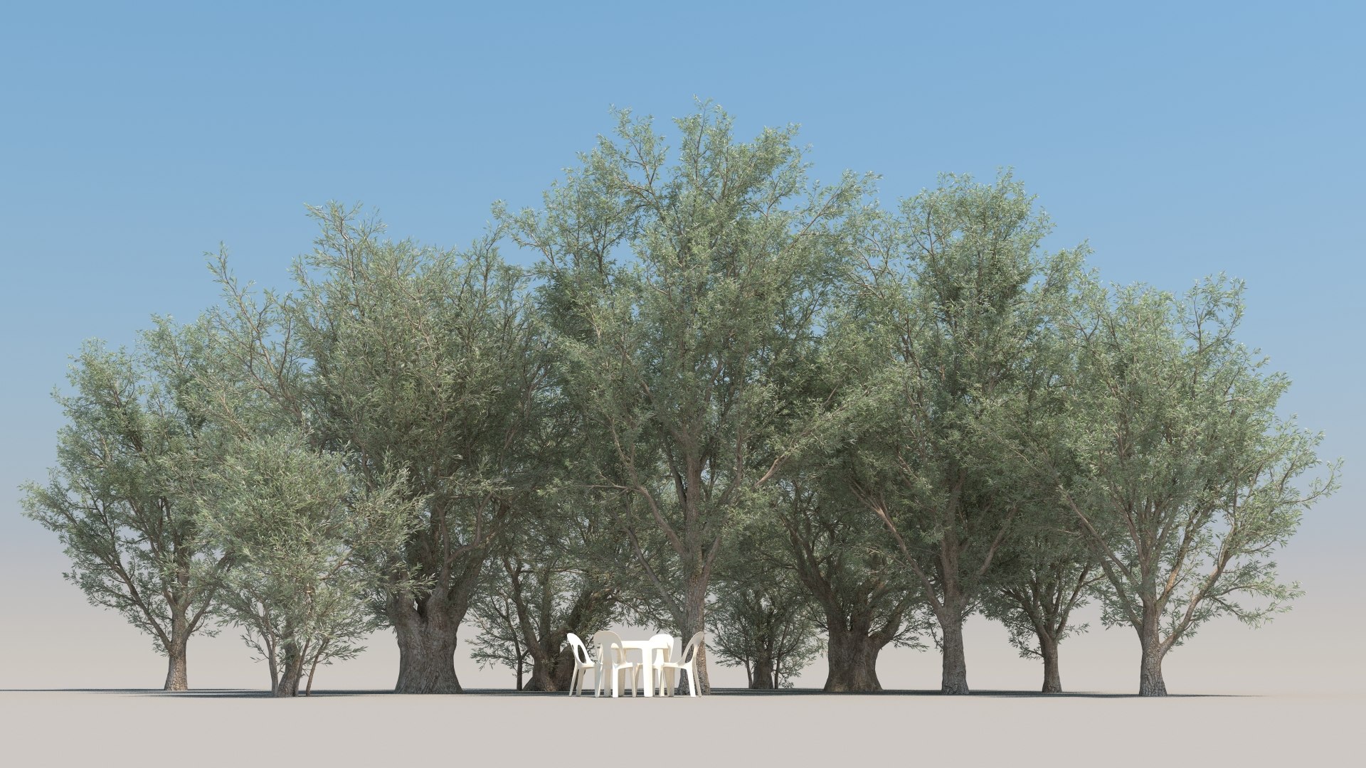 Summer Olive Tree 3D Model - TurboSquid 1695626