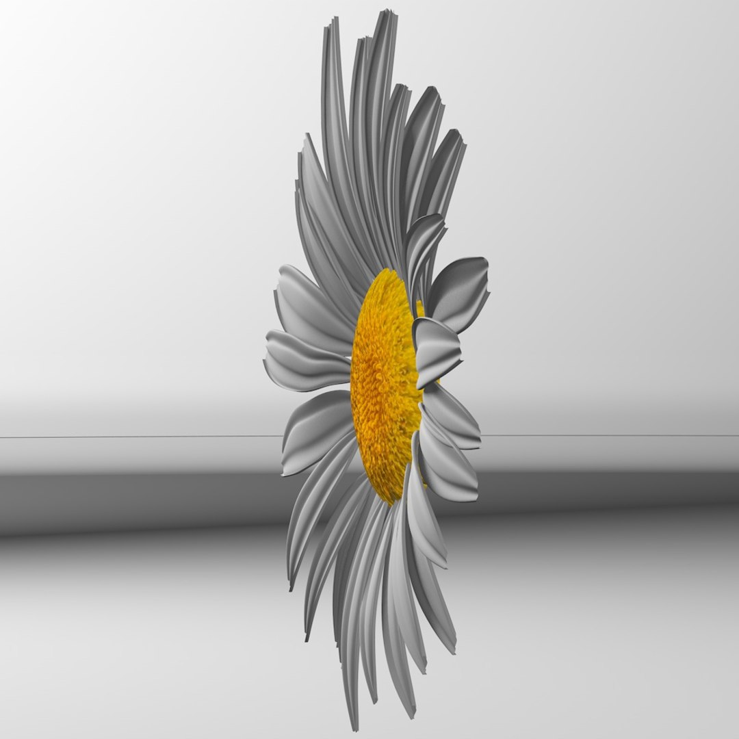 3d Model Daisy Flower