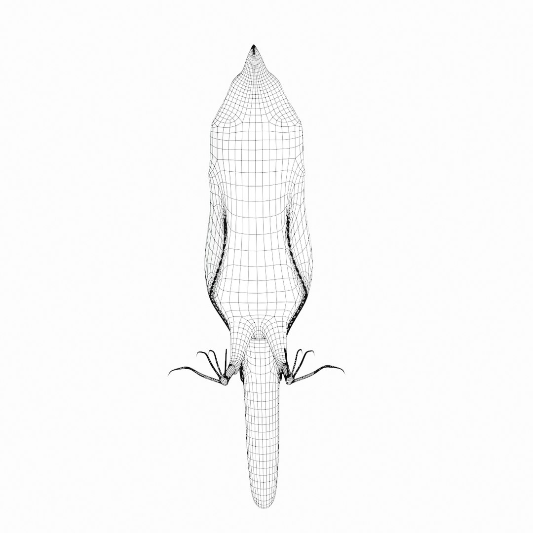 Blue Jay 3d Model