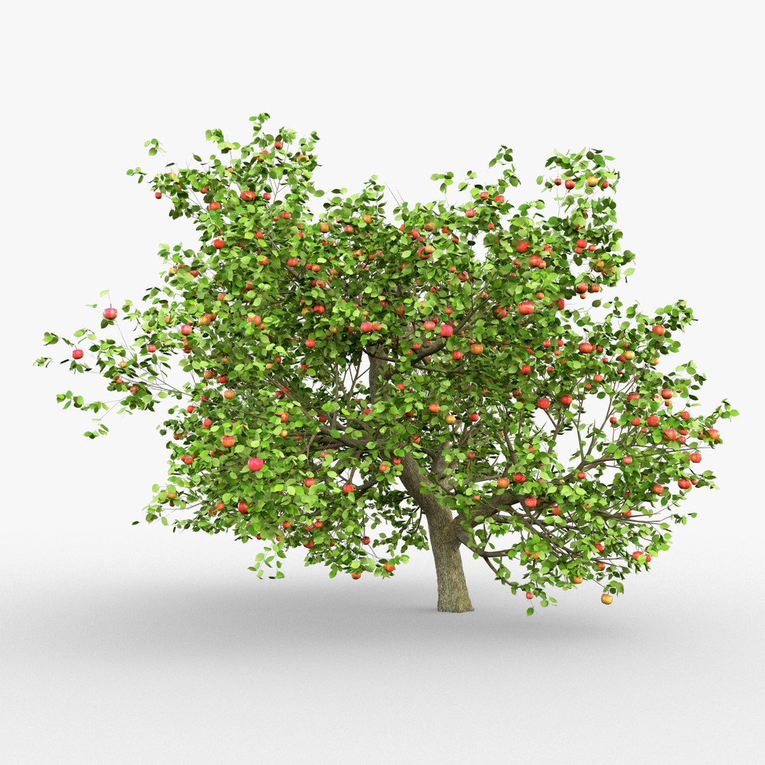 Tree apple model - TurboSquid 1156084