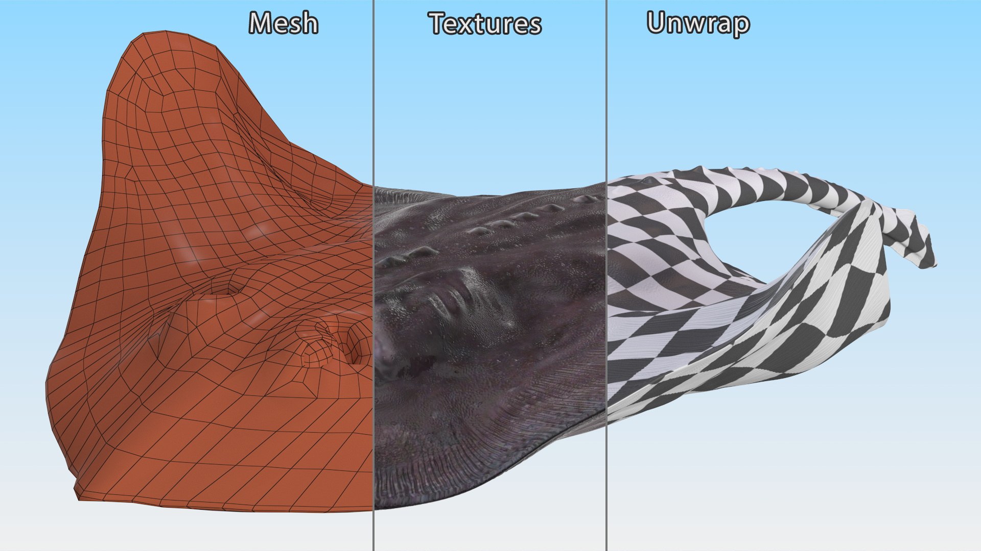 3D Gray Stingray Floating On The Bottom - TurboSquid 2268143