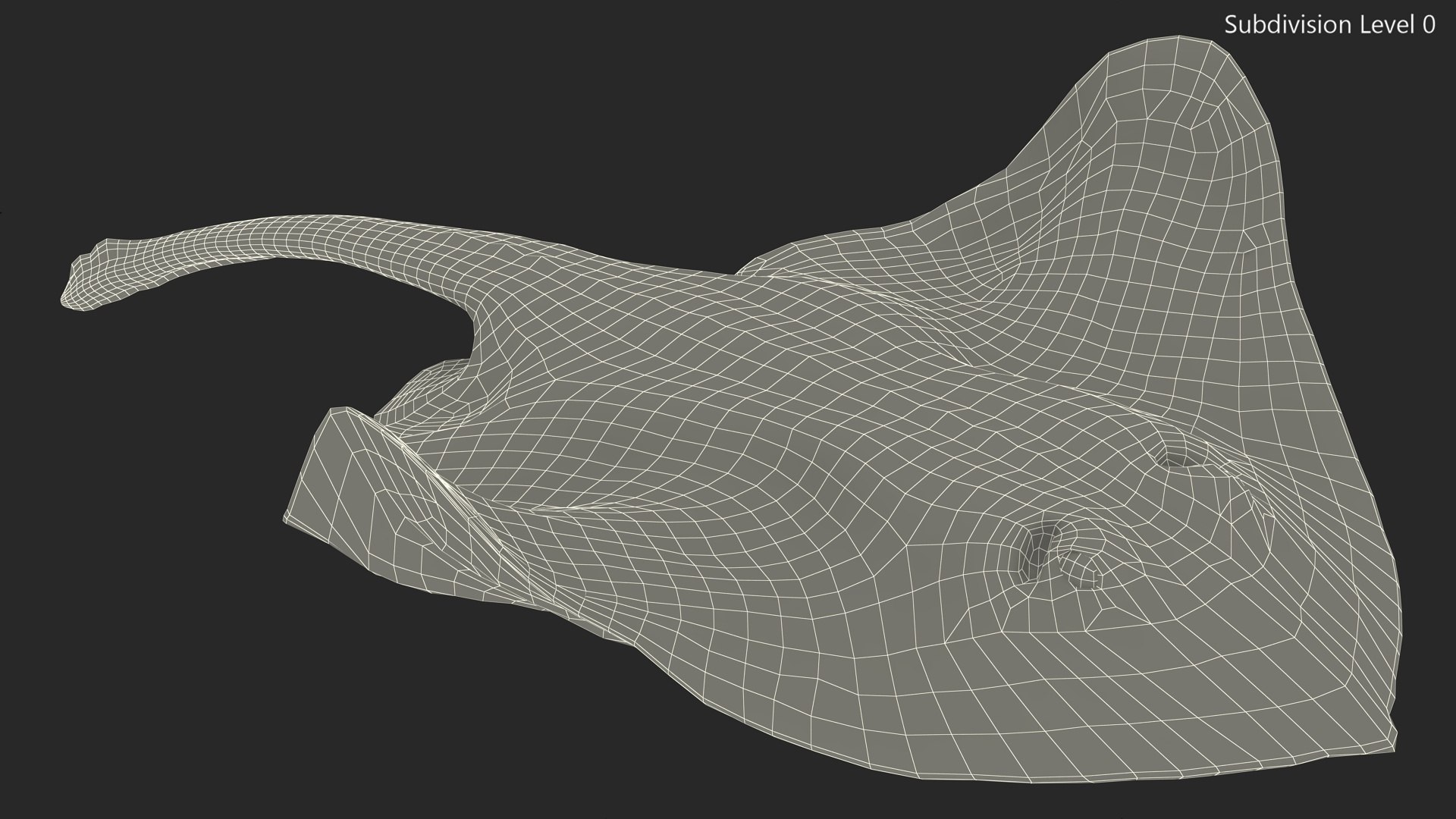 3D Gray Stingray Floating On The Bottom - TurboSquid 2268143