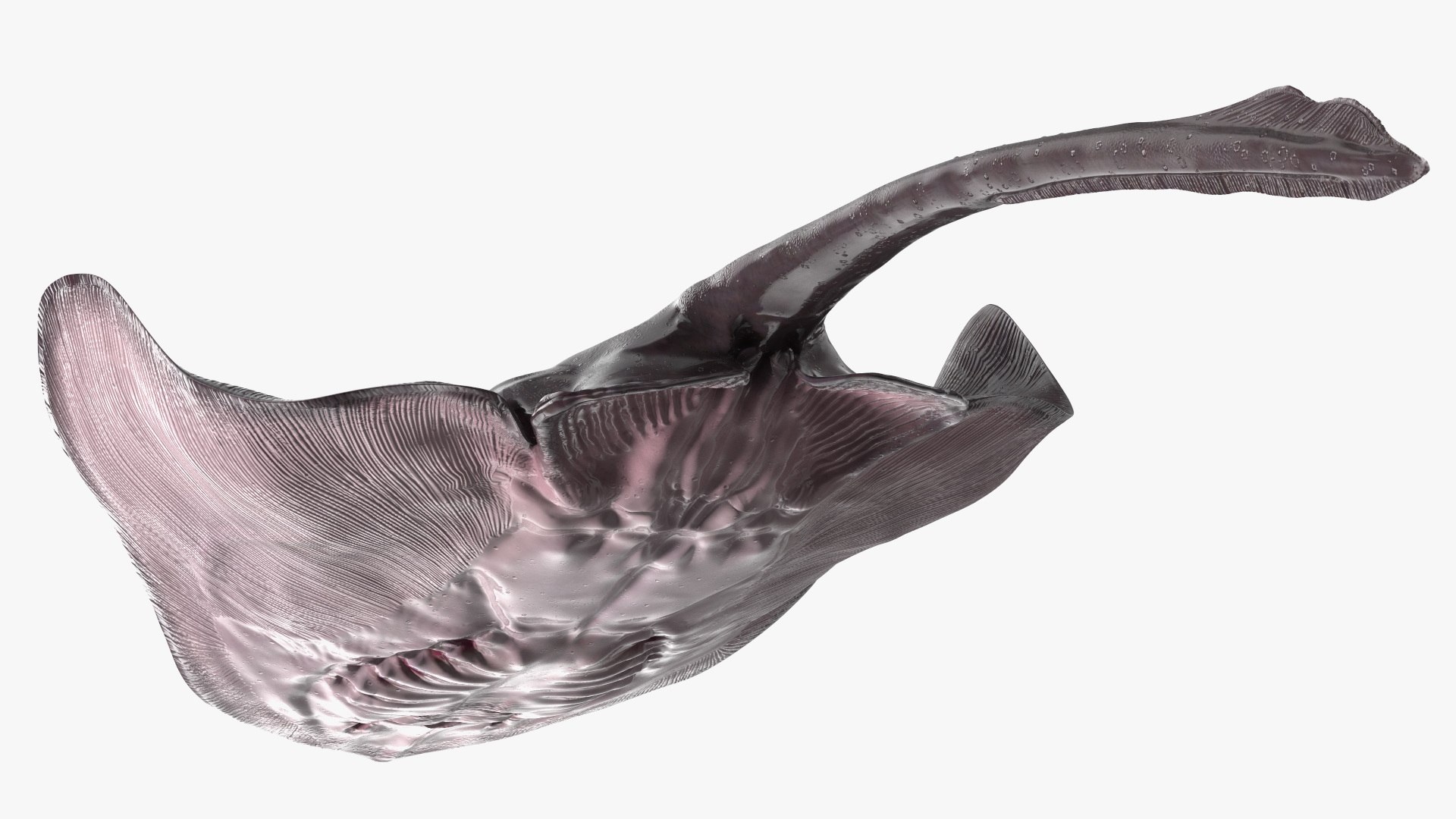 3D Gray Stingray Floating On The Bottom - TurboSquid 2268143