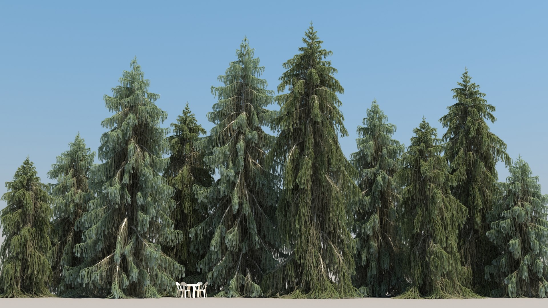 Picea Trees 10 Spruce 3D Model - TurboSquid 1280057