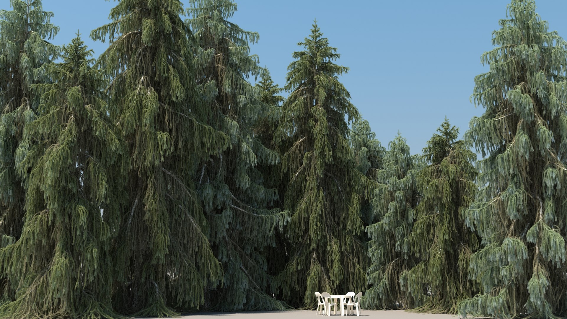 Picea Trees 10 Spruce 3D Model - TurboSquid 1280057