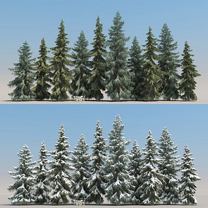 Free 3D Spruce-Tree Models | TurboSquid