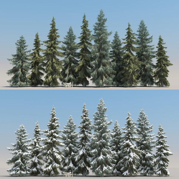 Free 3D Spruce-Tree Models | TurboSquid