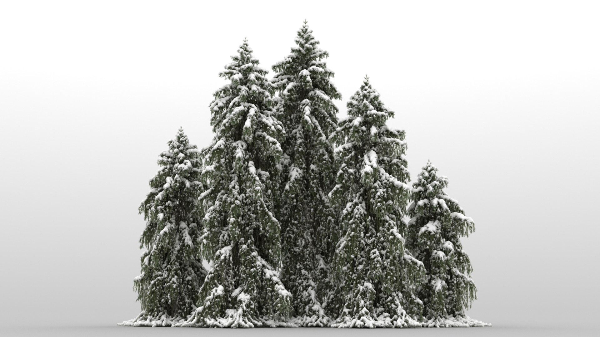 Picea Trees 10 Spruce 3D Model - TurboSquid 1280057